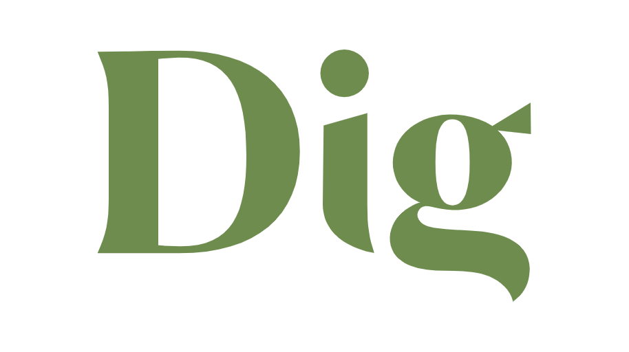 Dig - create a beautiful garden and discover the joy of gardening